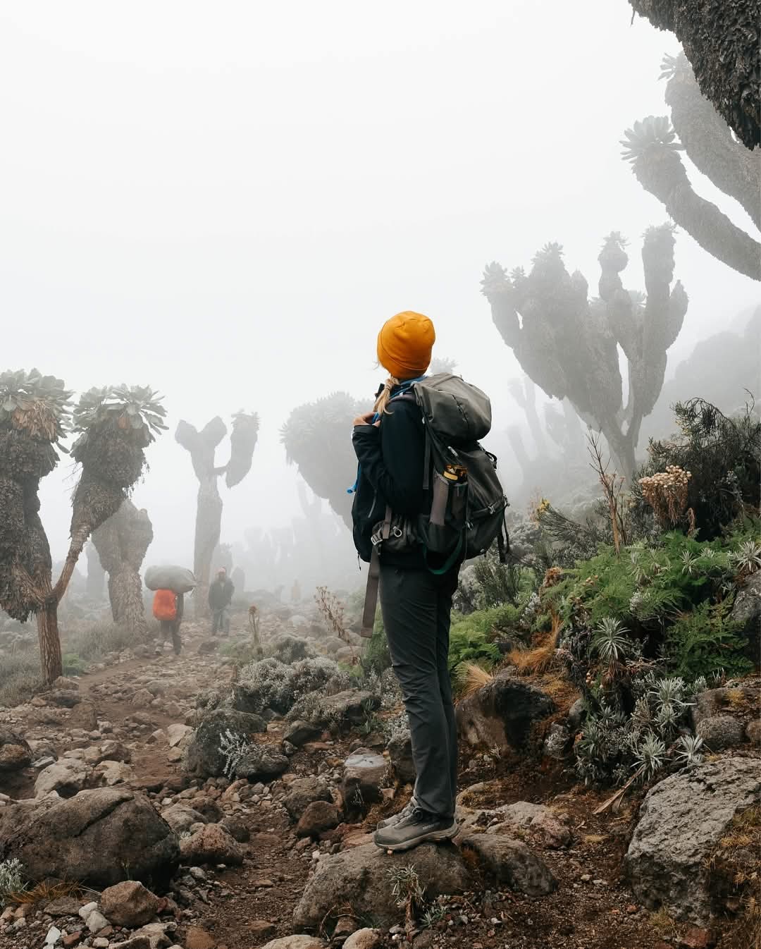 UBWE ROUTE - KILLIMANJARO EXPED
